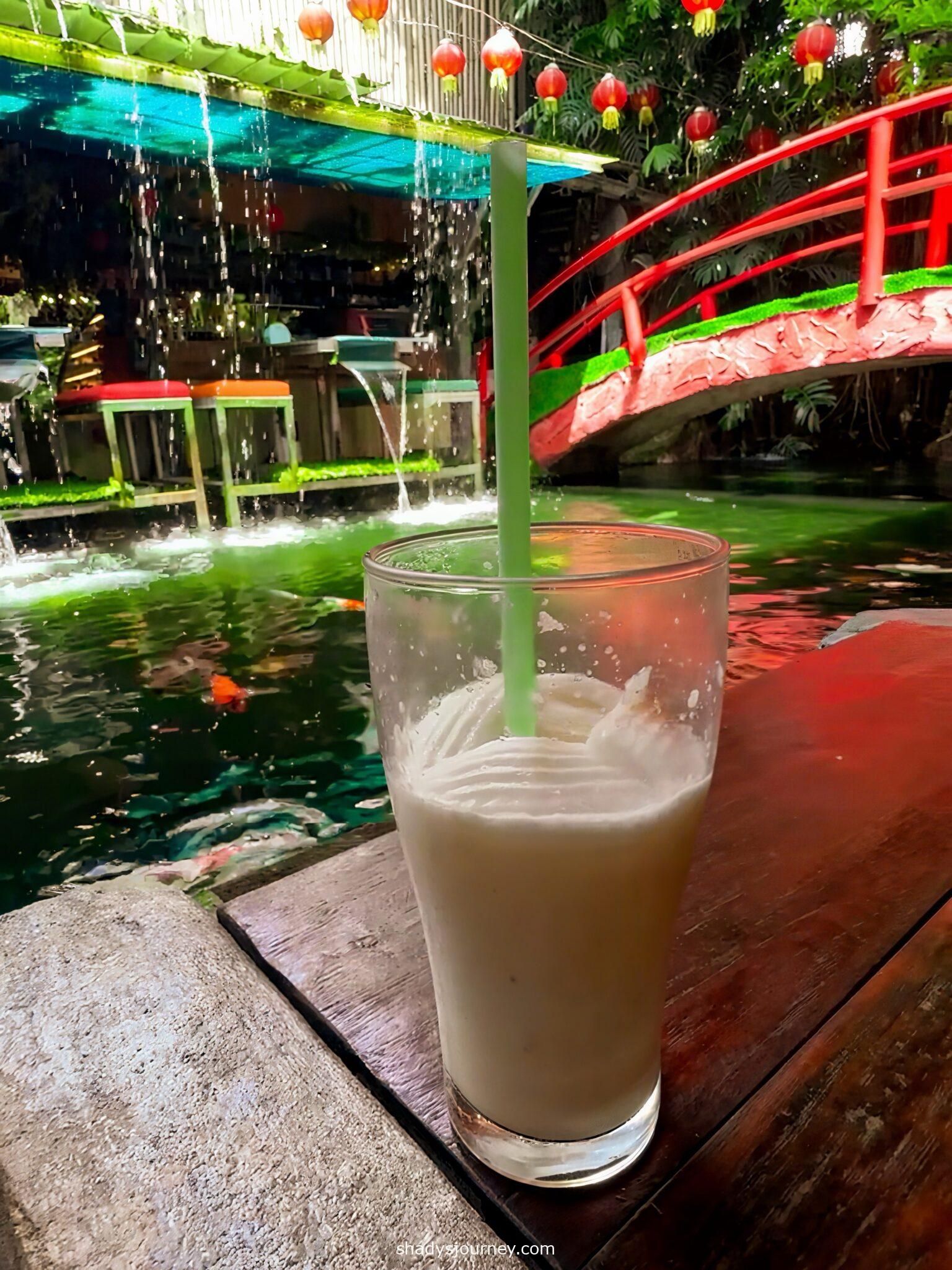 Carp Café Chiang Mai: Sip Coffee Surrounded by Colorful Fish - Shady’s ...