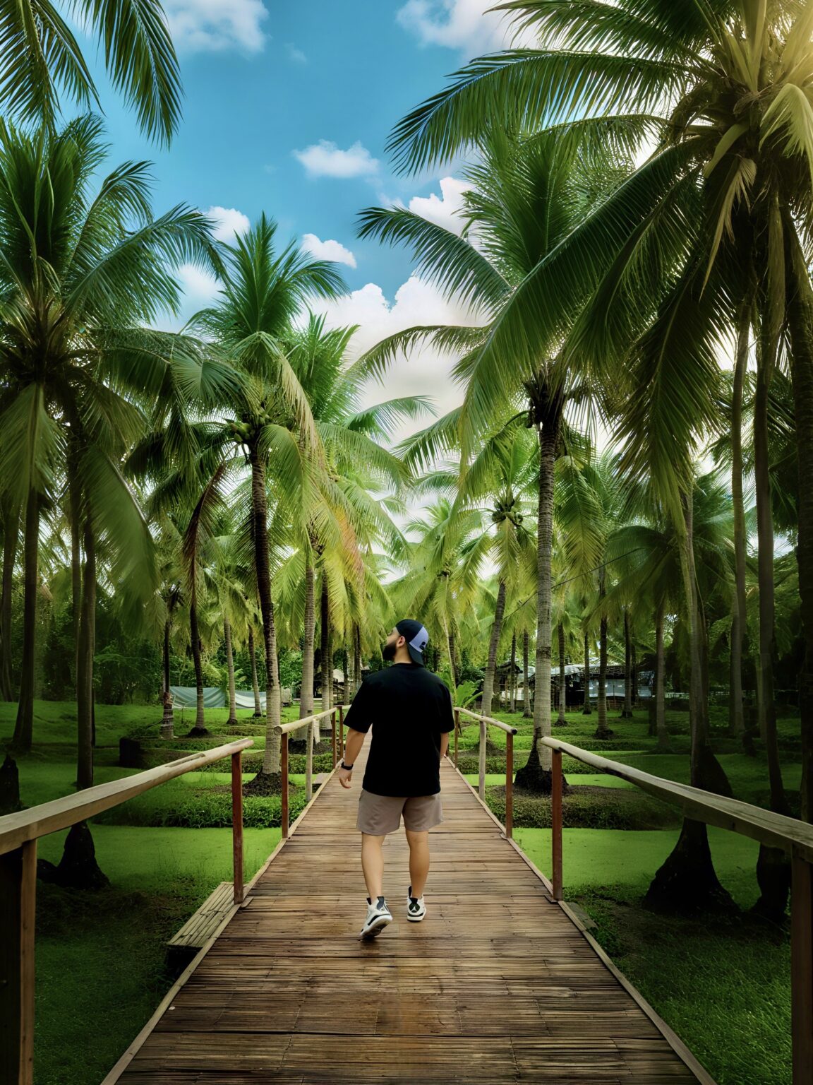 Coconut Market Chiang Mai: A Hidden Grove of Palms & Local Flavors ...